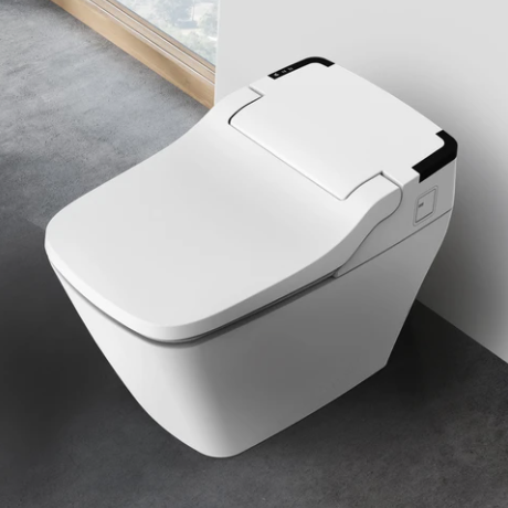 Full Bidet Toilet | Bidet Seat + Toilet Combo – Clear Moon Bidets